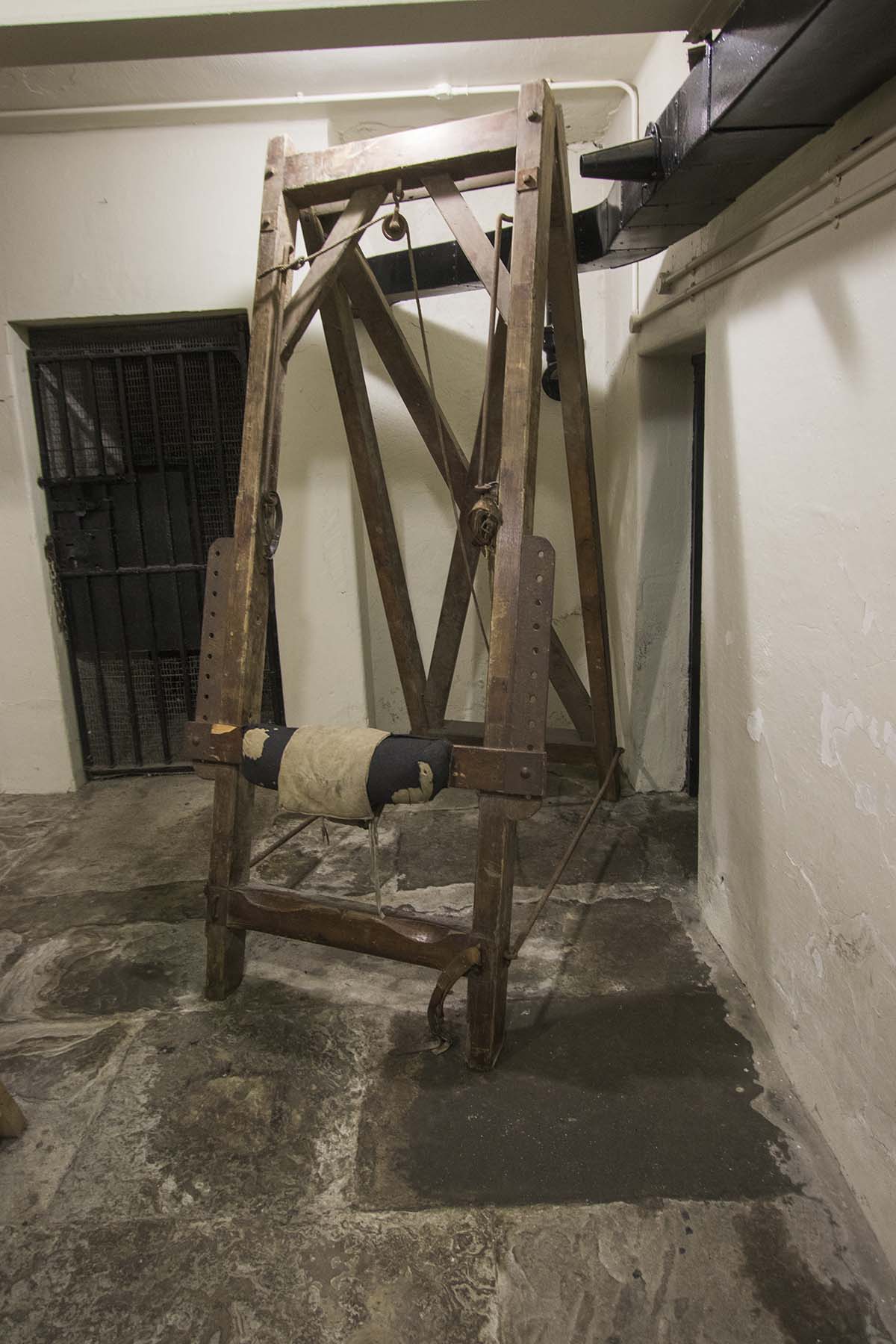 IMG_3506WhippingFrame – bontaks travels